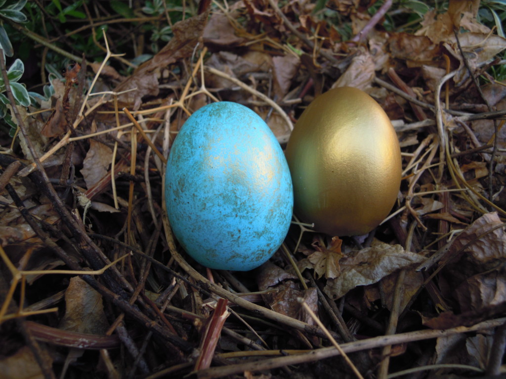 Proyecto: Cómo Teñir Huevitos de Pascua