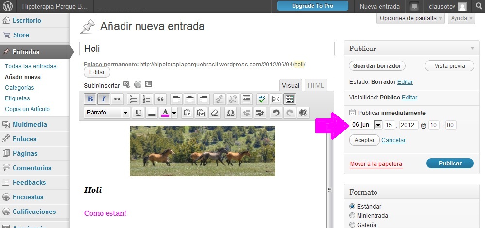 Cómo Bloggear en WordPress